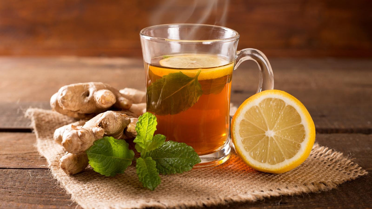 Punya Segudang Manfaat, Kenali Jenis Jahe untuk Hidup Sehat – Healthy ...