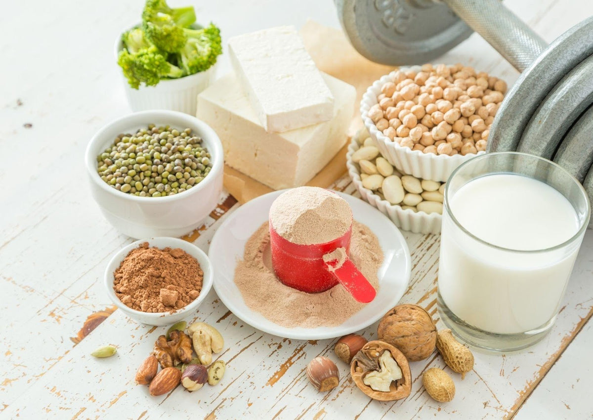 Sumber Protein Baik untuk Kesehatan – Healthy Choice ID